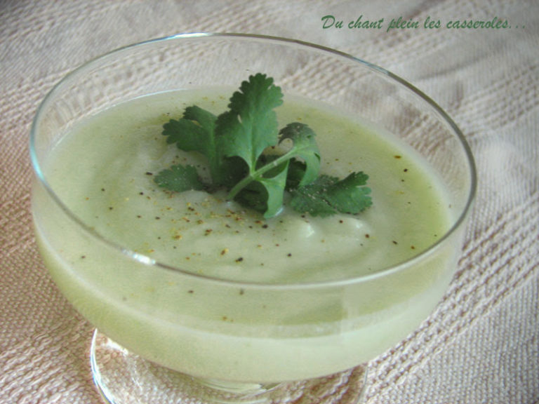 Velouté de jade (à la courge massue d’Hercule) – Concert de casseroles